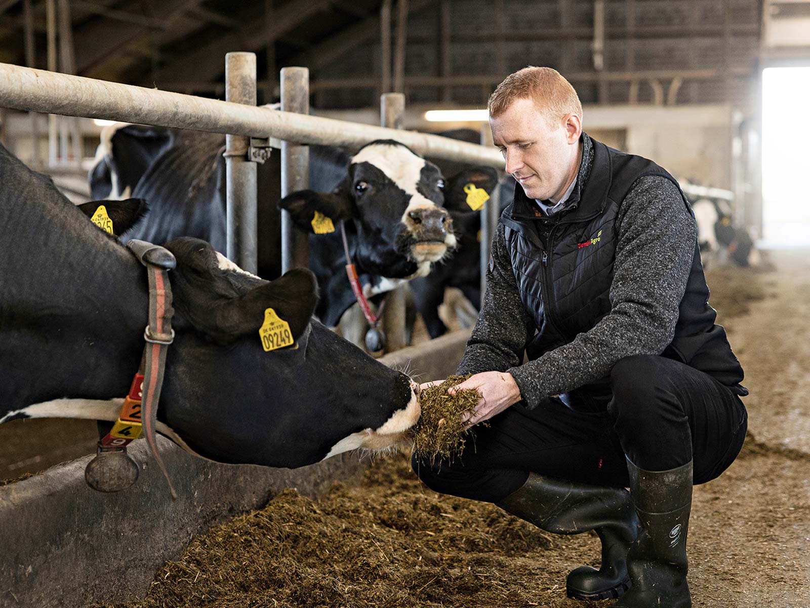 Danish Agro Group - Home